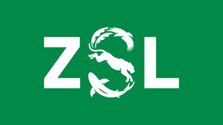 Rbl rebrands ZSL with ecosystem-inspired identity - Digital Marketing ...